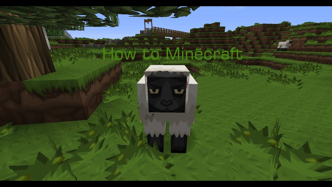 How to Minecraft Part 8 - Erase and Rewind - YouTube