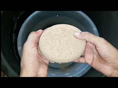 Super soft crispy Sand biscuits crushing in water 💦 nice crushing 💯 ...