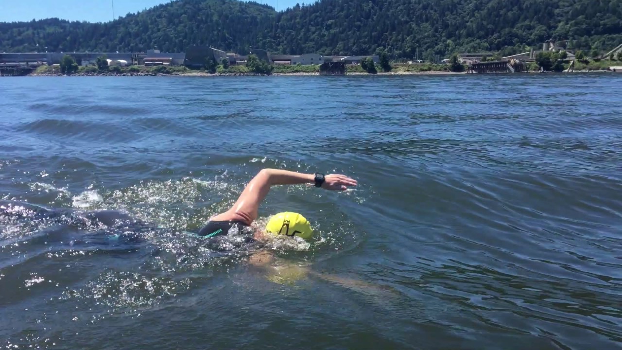 Bridge Swim 2017 - YouTube