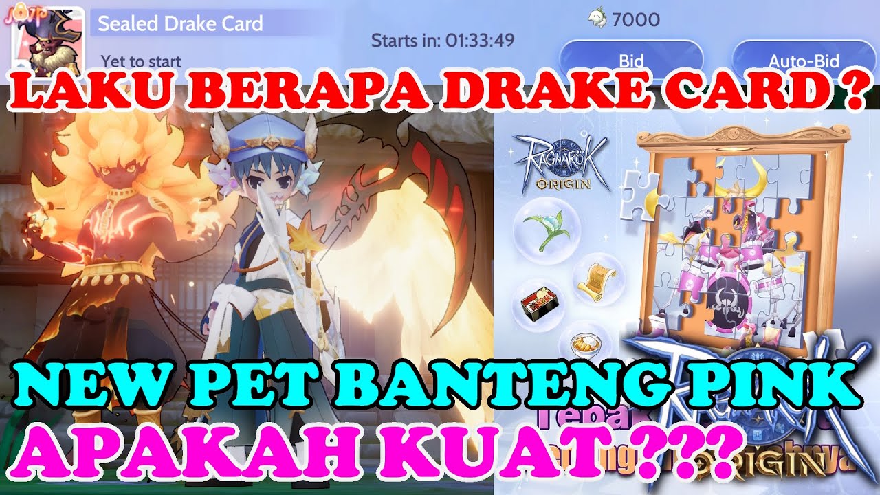 LAKU BERAPA DRAKE CARD? NEW PET BANTENG PINK! APAKAH KUAT? Ragnarok ...