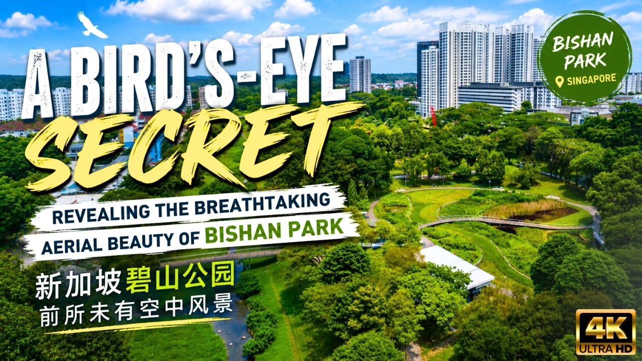 A Bird’s-Eye Secret Revealing The Breathtaking Aerial Beauty of Bishan ...