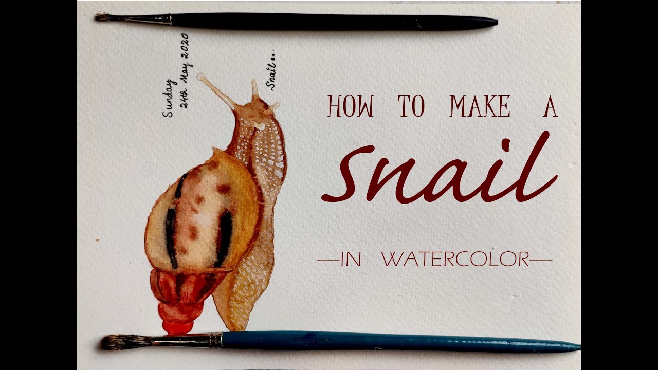 Painting a 🐚snail using watercolor°•:°•.:• - YouTube