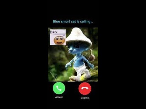 Dank memes compilation - YLYL - YouTube