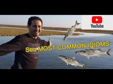 Most common sea idioms