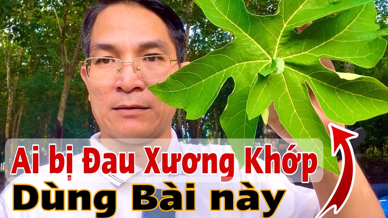 Ai Đau Xương Khớp Thoái hóa Dùng Bài này. PHAN HẢI Channel - YouTube