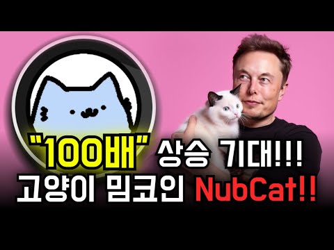 “100배”상승 기대!!! 고양이 밈코인 NubCat!! - YouTube