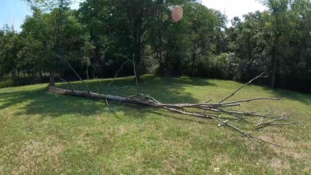 Cleaning up storm damage. Using Stihl, Dewalt 20V Chainsaw and Pole Saw ...