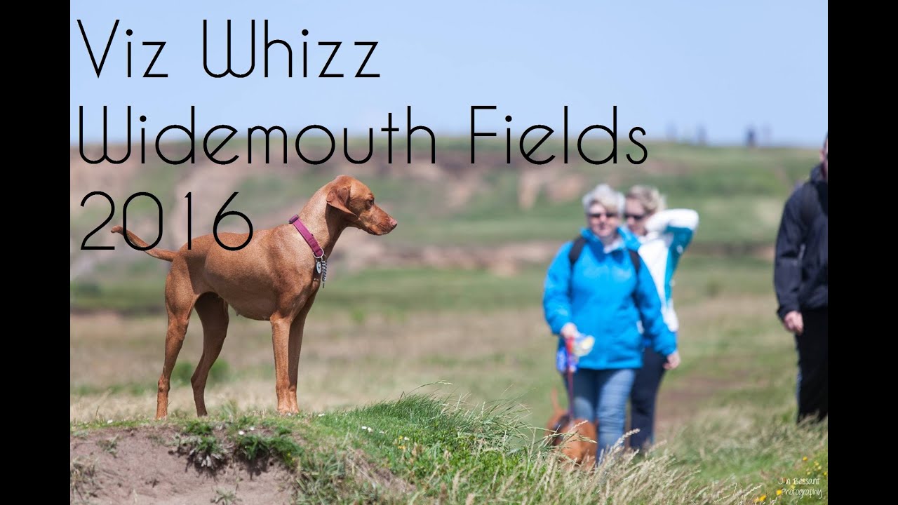 Viz Whizz Weekend - Widemouth Fields - 2016 - YouTube