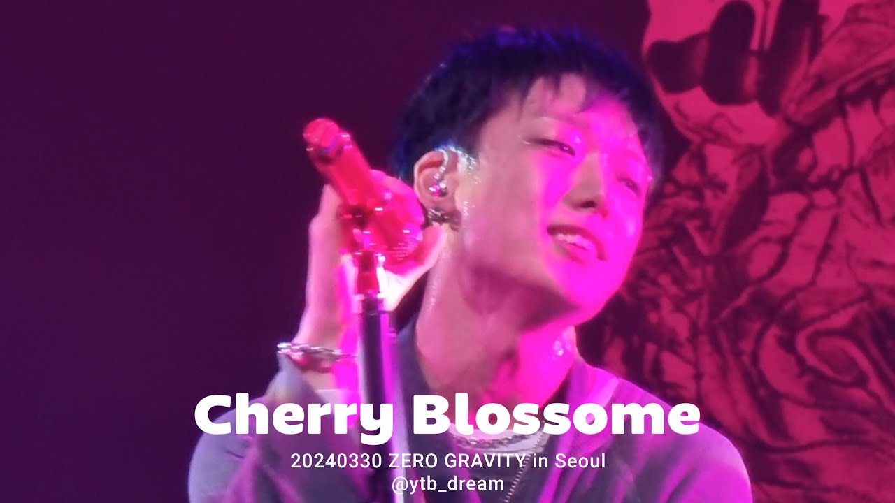 벚꽃(Cherry Blossom) / 240330 BOBBY SOLO CONCERT: ZERO GRAVITY in Seoul ...