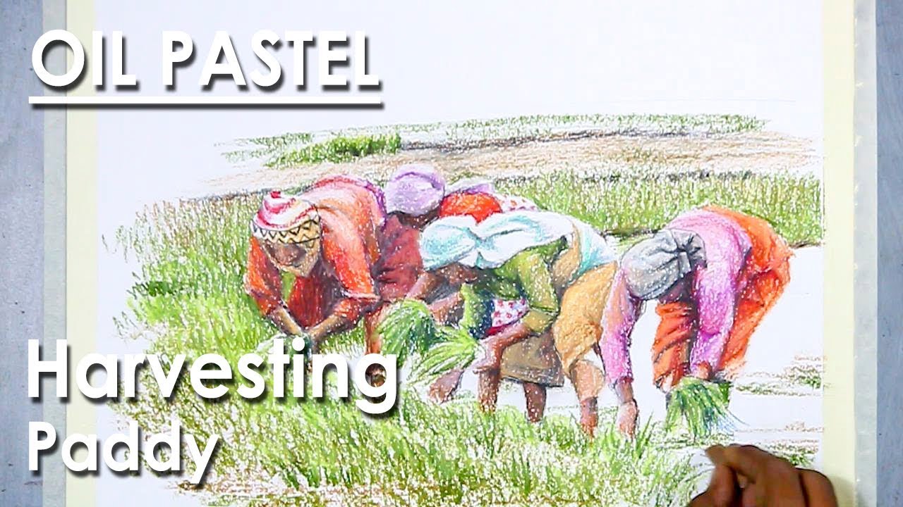 Oil Pastel Drawing : Farmers Harvesting Paddy - YouTube