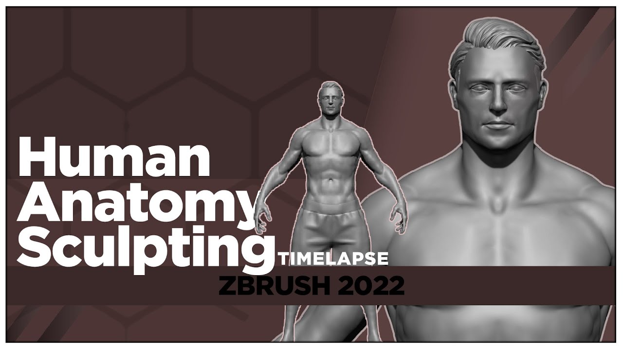 Zbrush Sculpting | Anatomy Sculpting in ZBRUSH 2022 - YouTube