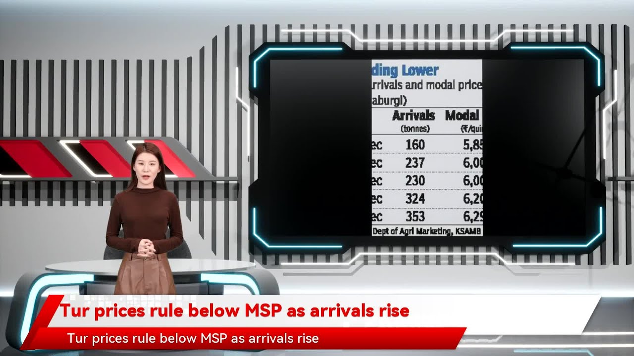 Tur prices rule below MSP as arrivals rise - YouTube