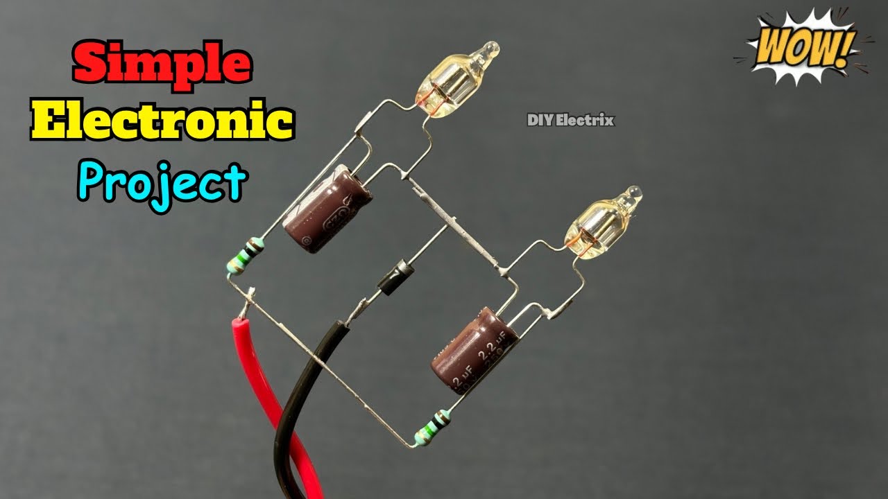 Dual Neon Bulb Flasher Circuit - YouTube