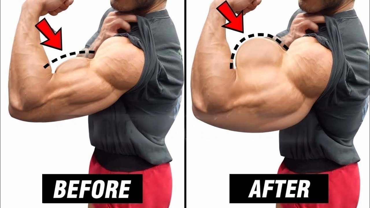 Best Biceps Workout Size and Shape - YouTube