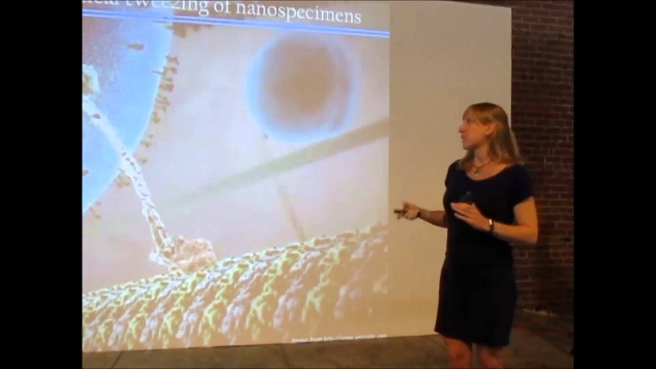 Jennifer Dionne, director of Stanford's Nanotech Lab, on Nanotechnology ...