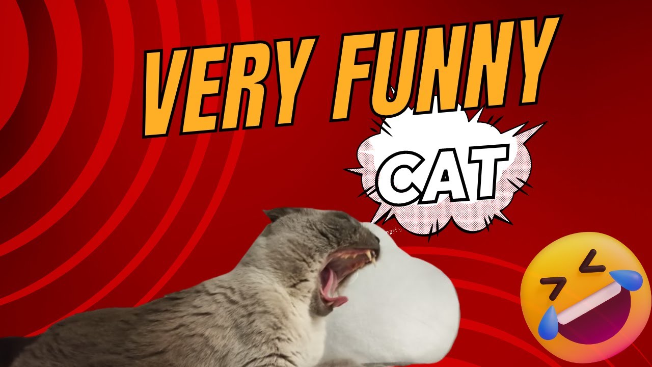 Cats vs Snow 🎄| Funny and Cute animals compilation 2023 | Funny MO🐾 ...