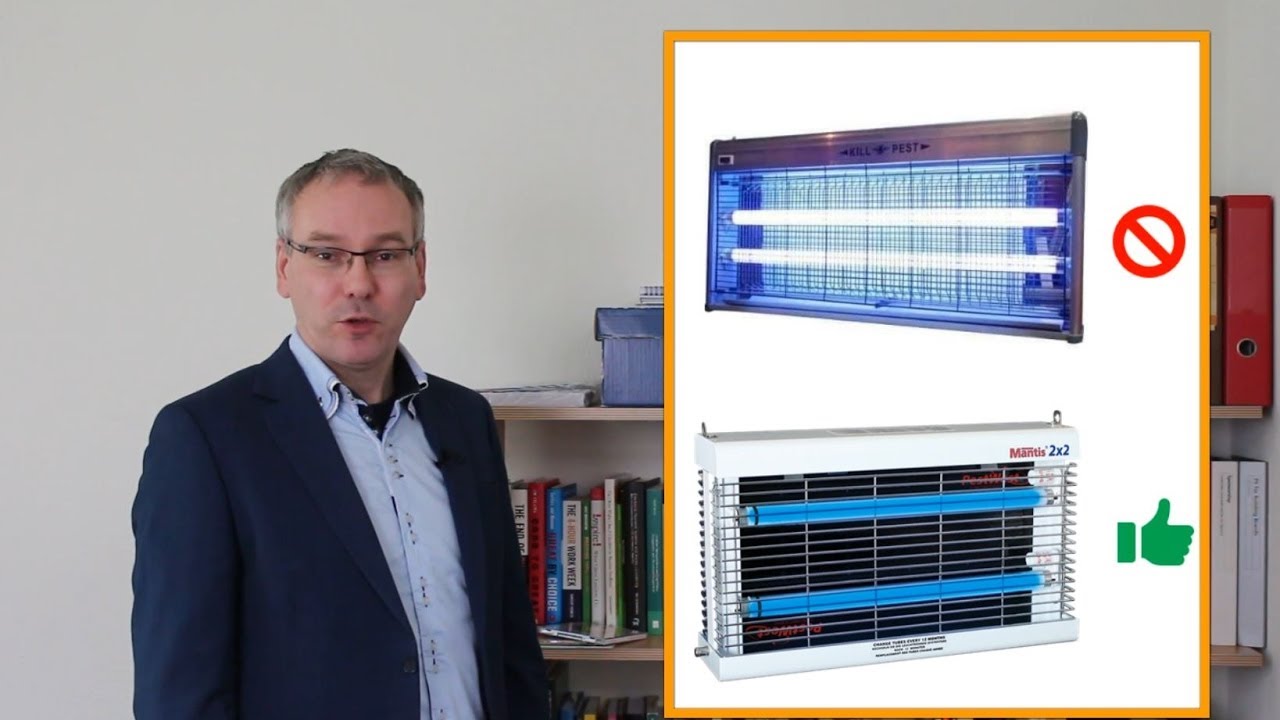 Insectocutor - YouTube