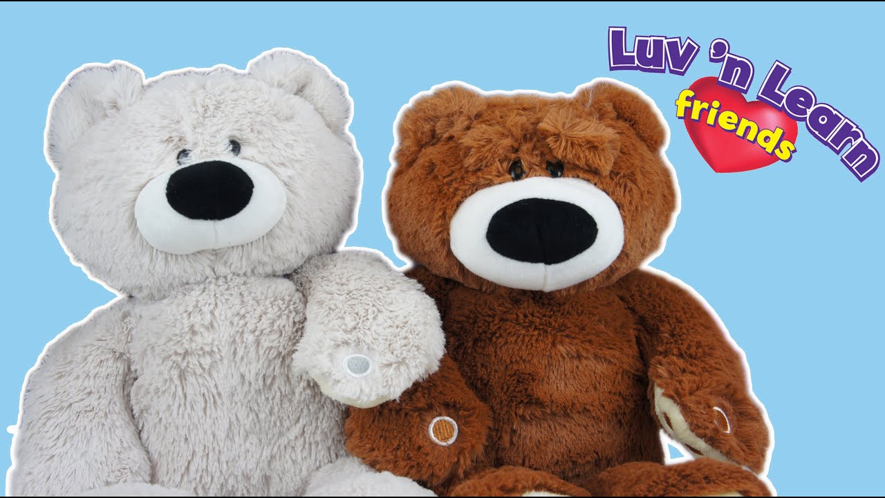 Luv'N Learn Friends Interactive Bear by Future Of Play - YouTube