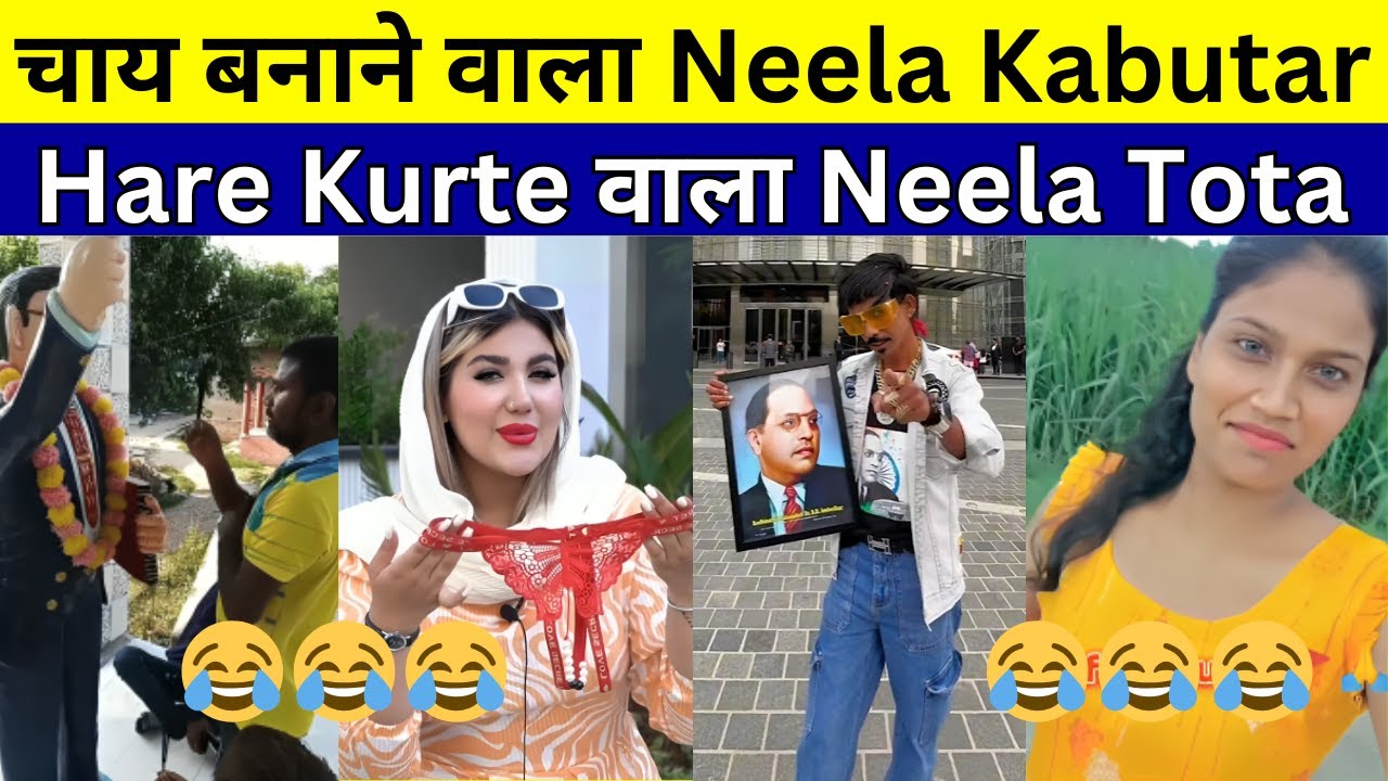 Hare Kurte वाला Neela Tota 😂 || Memes 😂 - YouTube