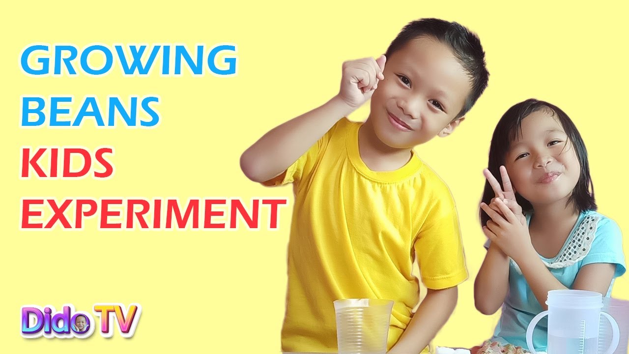 Growing a Bean Plant - Fun Kids Science Experiment - YouTube