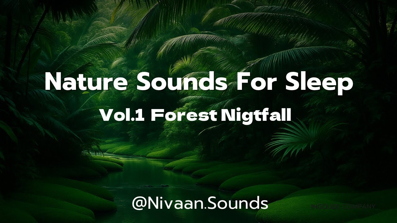 Forest Nightfall | Nature Sounds for Deep sleep | Meditation Music - YouTube