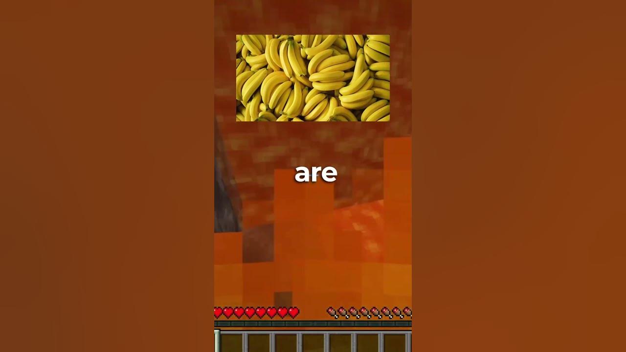 Random Fun Facts 2 YouTube random-fun-facts-2-youtube