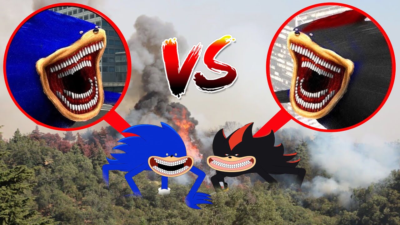 SHIN SONIC VS SHIN SHADOW *Who Will Win?* - YouTube