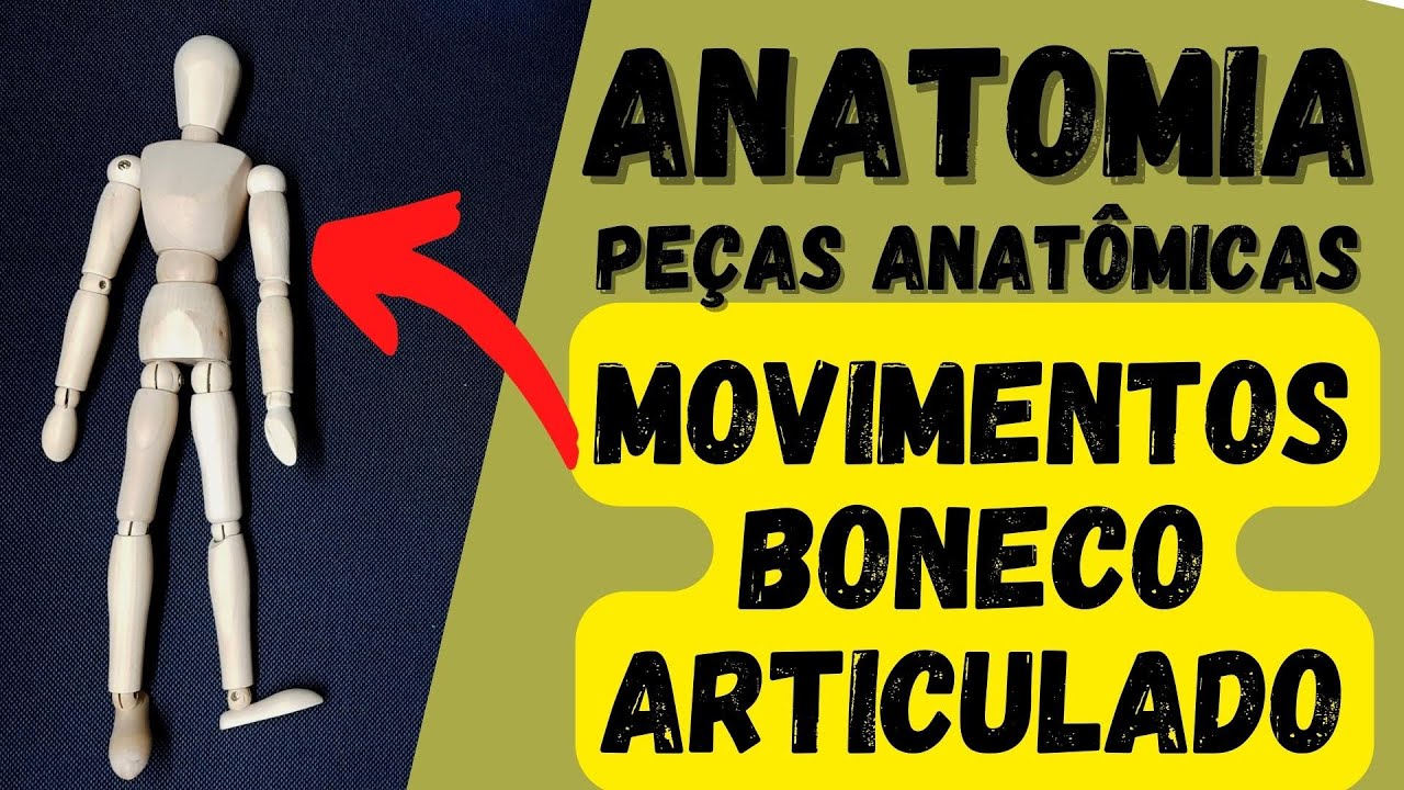 ANATOMIA - Boneco articulado (peças anatômicas) - Movimentos do corpo ...