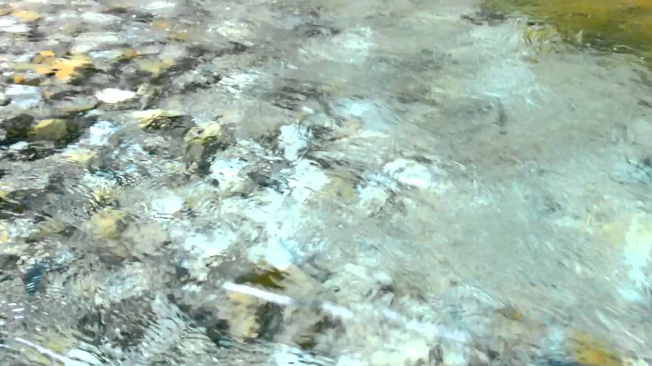 【自然音】せせらぎ-5 / 1 Hour Nature Sounds - Babbling Brook Sounds - YouTube