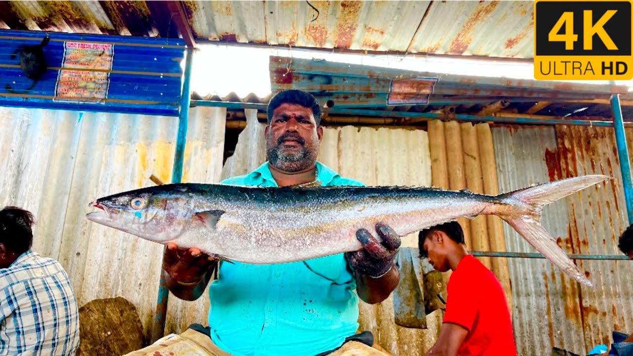 Poonguzhali fish cutting video/fishcuttingrs#fish #kasimedu # ...
