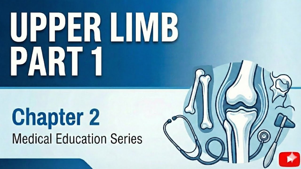 Upper limb part 1 | chapter 2 | ortho - YouTube