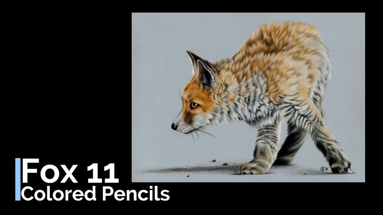 Speed drawing: How to draw a fox on colored paper with colored pencils ...