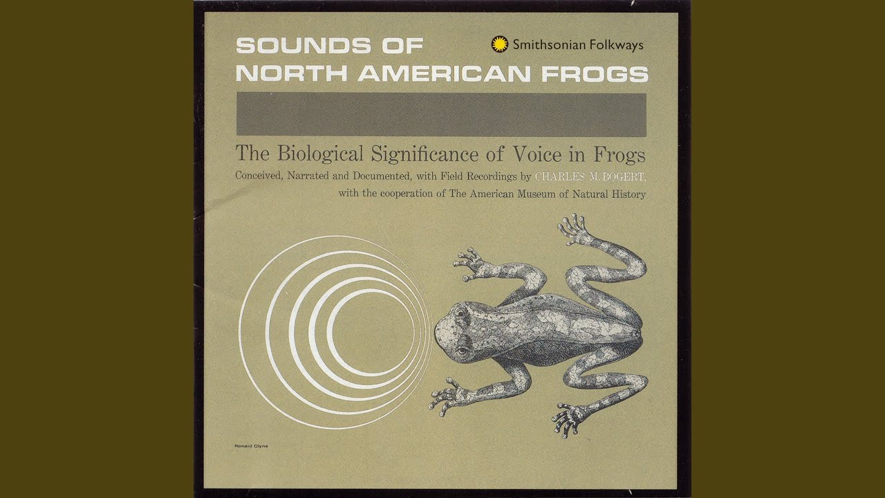 Mating Call of the Great Basin Spadefoot (Scaphiopus Intermontanus ...