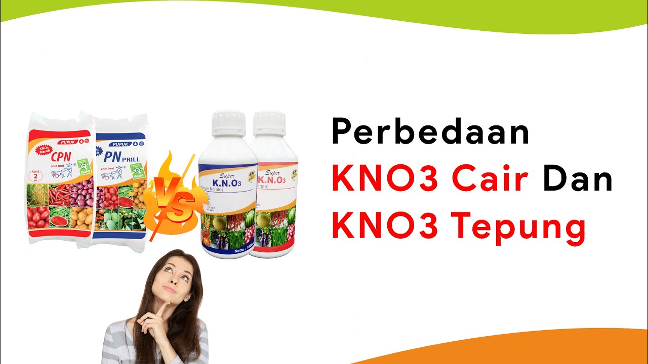 Pupuk KNO3 Cair, Apa Bedanya dengan KNO3 Biasanya - YouTube