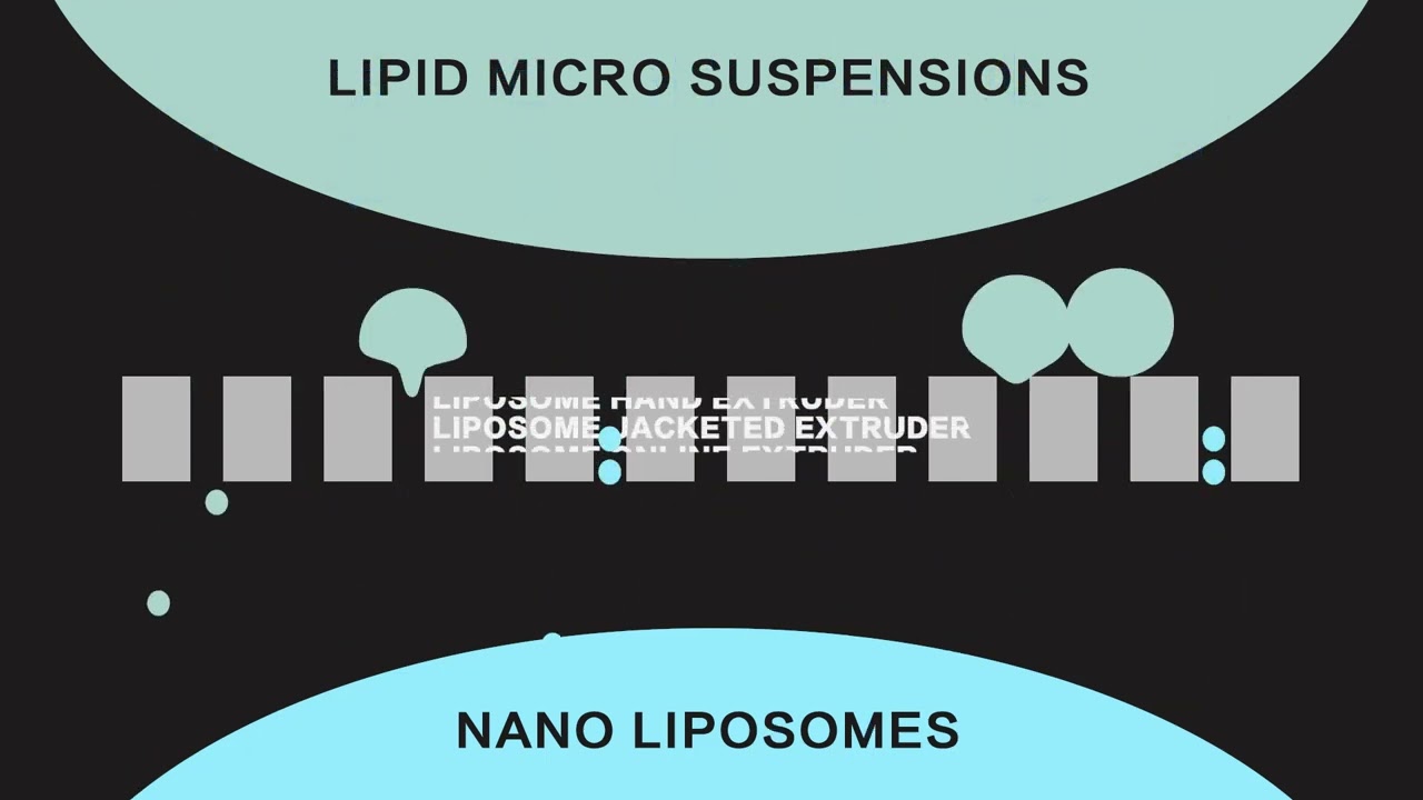 Mechanism of Liposome Extruders - YouTube