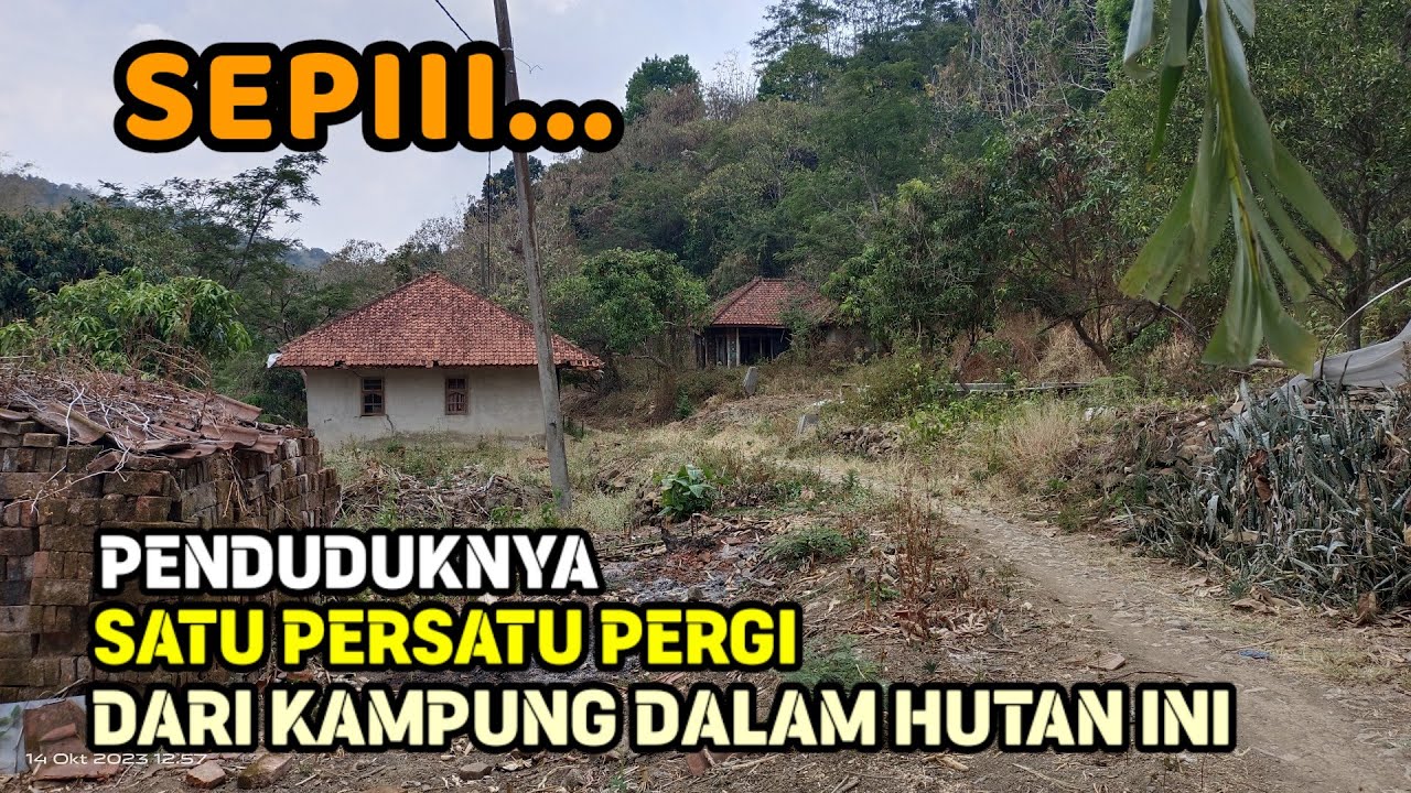 SEPII.. SATU PERSATU PENDUDUKNYA PERGI DARI KAMPUNG DALAM HUTAN INI ...