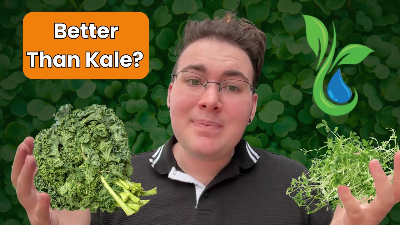 Kale vs Broccoli Microgreens: (and Why You Need Them!) 🔥 - YouTube