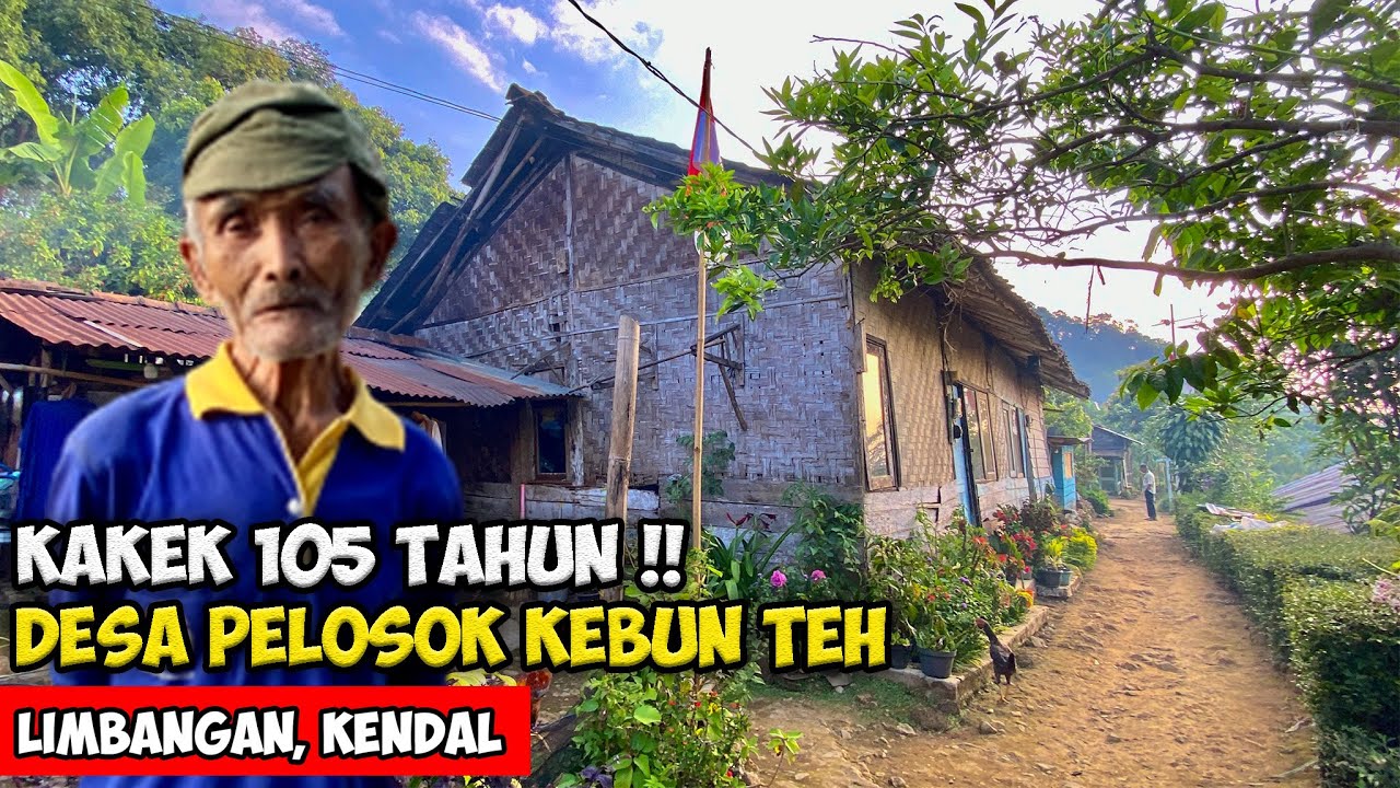 KAKEK BERUSIA 105 TAHUN !! SUASANA DESA GEMPOL DI TENGAH KEBUN TEH ...