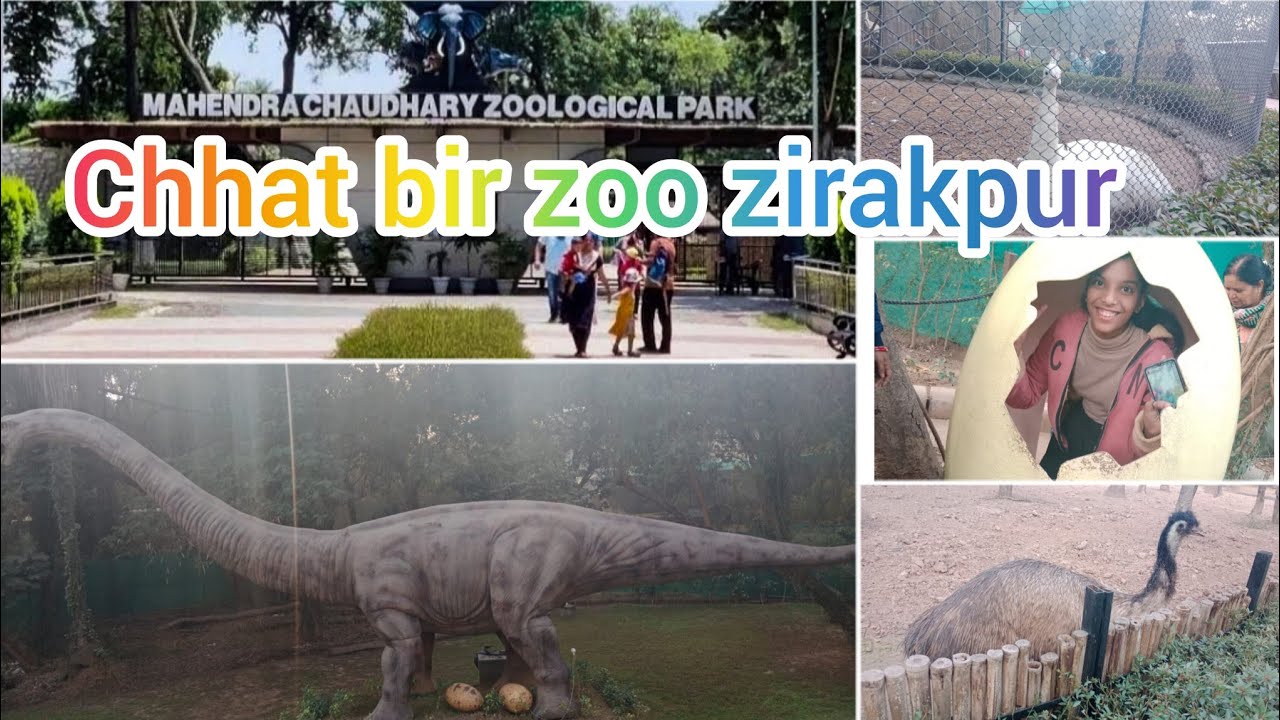 Mahendra Chaudhary Zoological Park, Chhat Bir Zoo, Zirakpur - YouTube