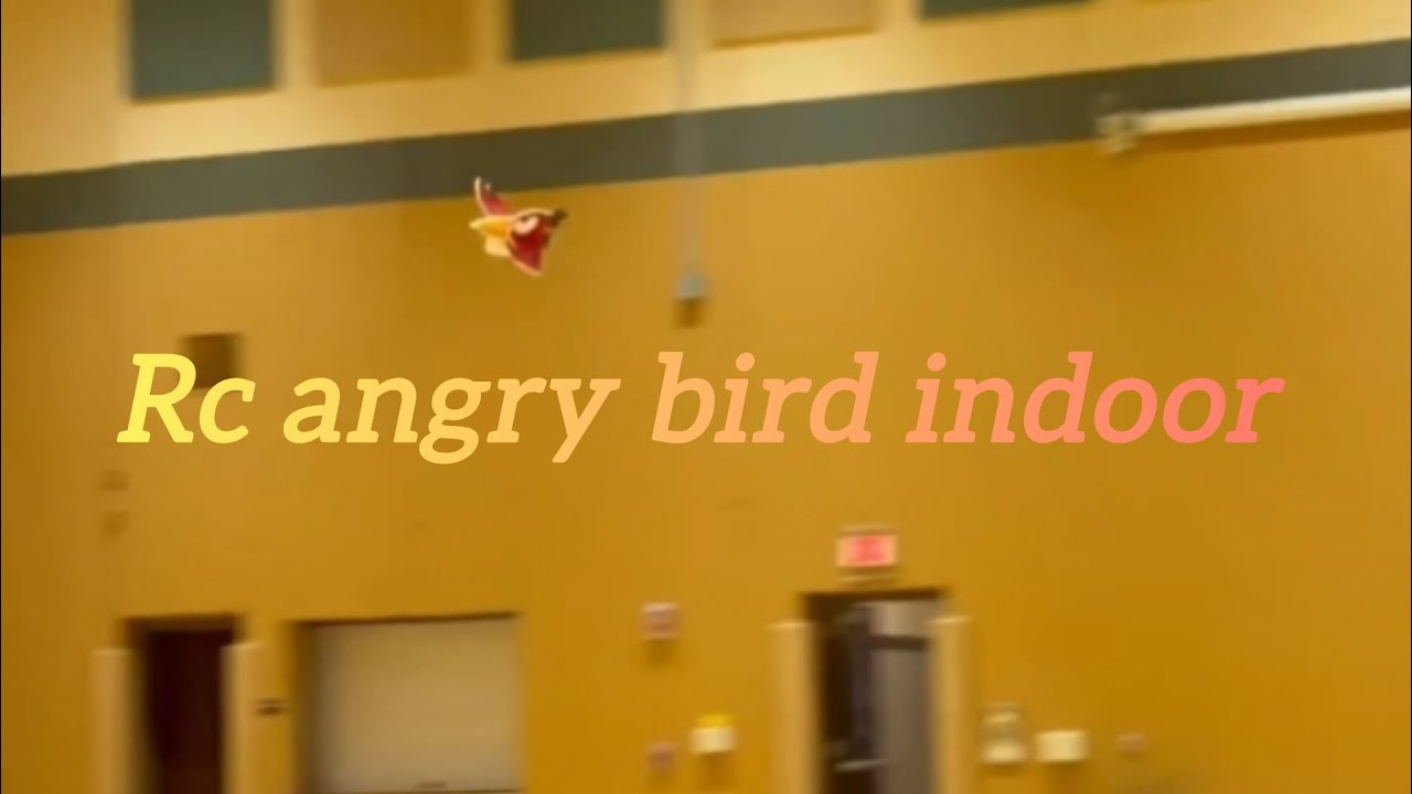RC Angry Bird Indoor - YouTube