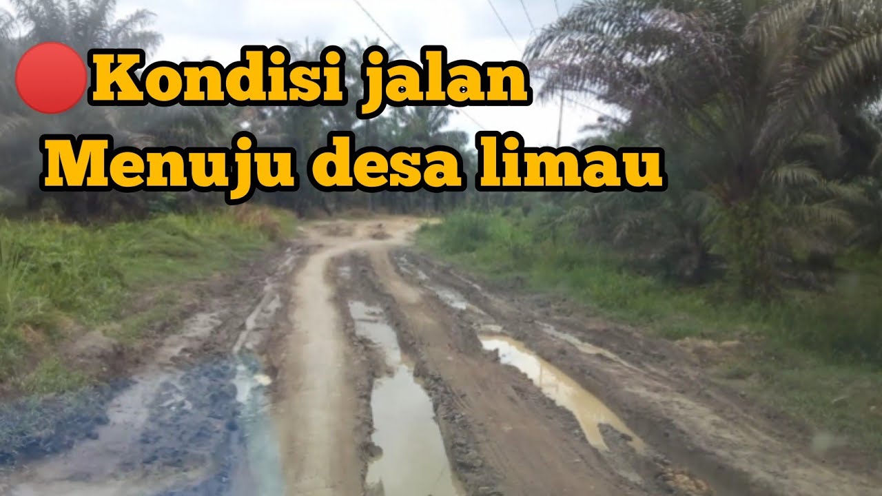 kondisi jalan menuju desa limau - YouTube