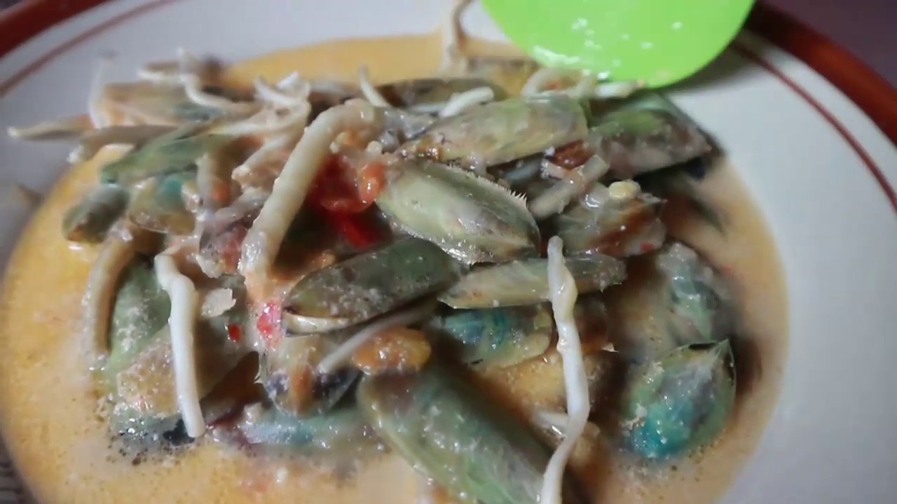 WUENAK MAAK !! Kerang Kaco Santan Bumbu Tomat.. Mantap Tenan !! - YouTube