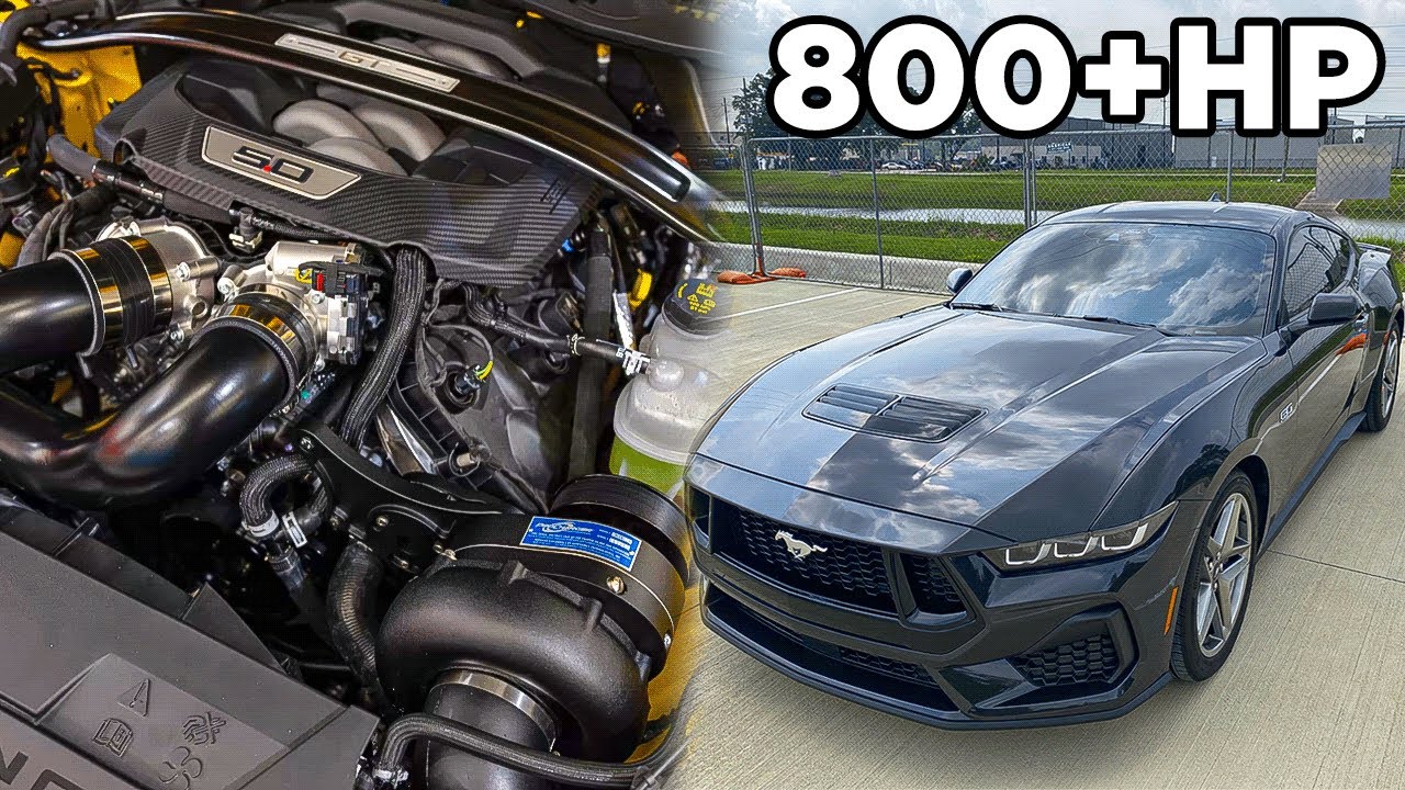 NEW 800+HP PROCHARGER 2024 MUSTANG SUPERCHARGER IS HERE!!! (DYNO PULLS ...