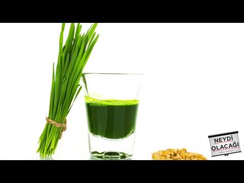 Nermin Necati - Detox Diyeti