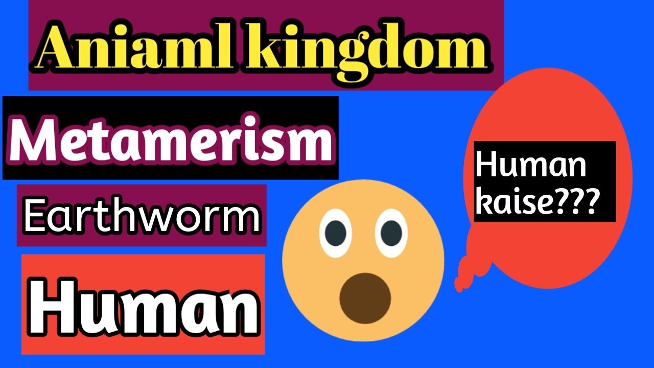 Animal kingdom/ Metamerism/ 11th/12th/NEET/ AIIMS /JIPMER - YouTube