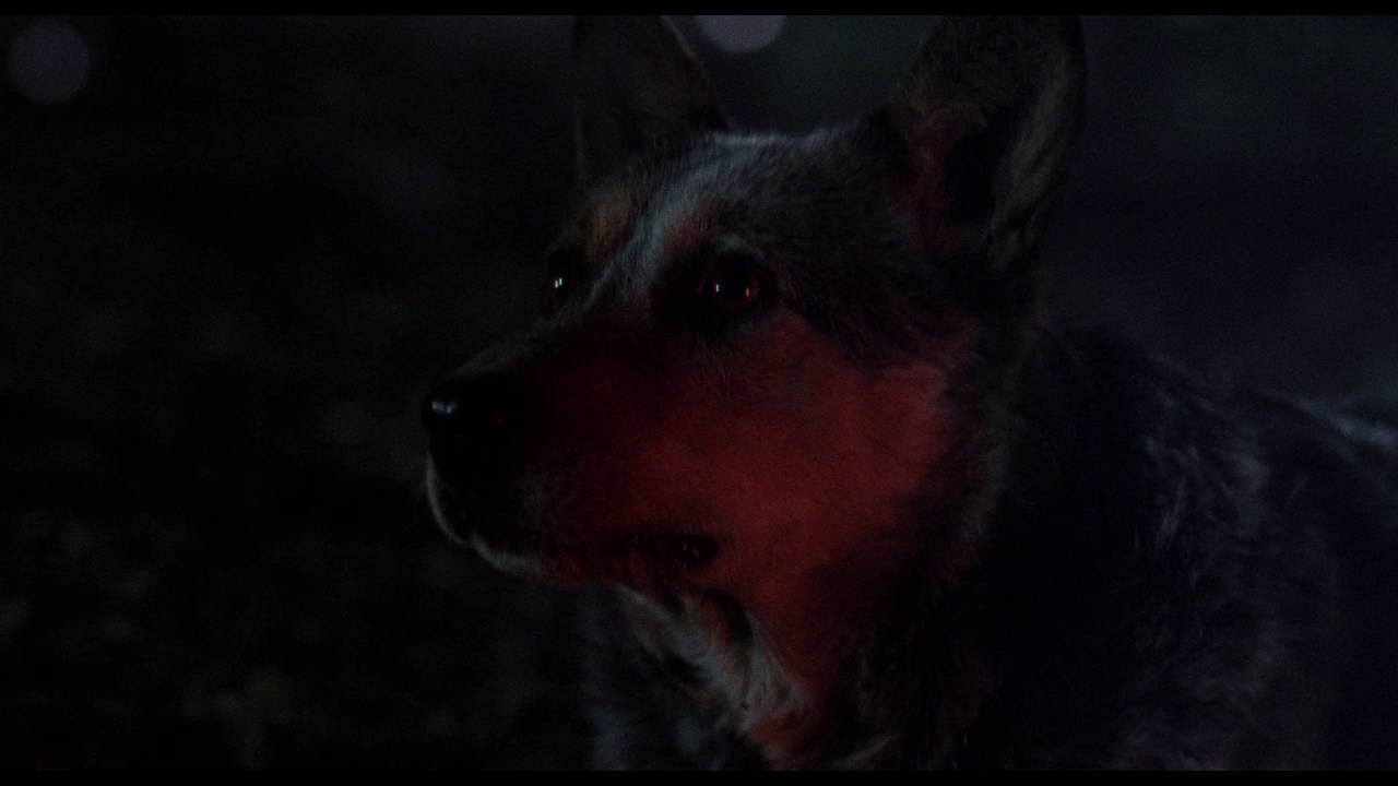 The Blob - Excerpt (1988) - YouTube