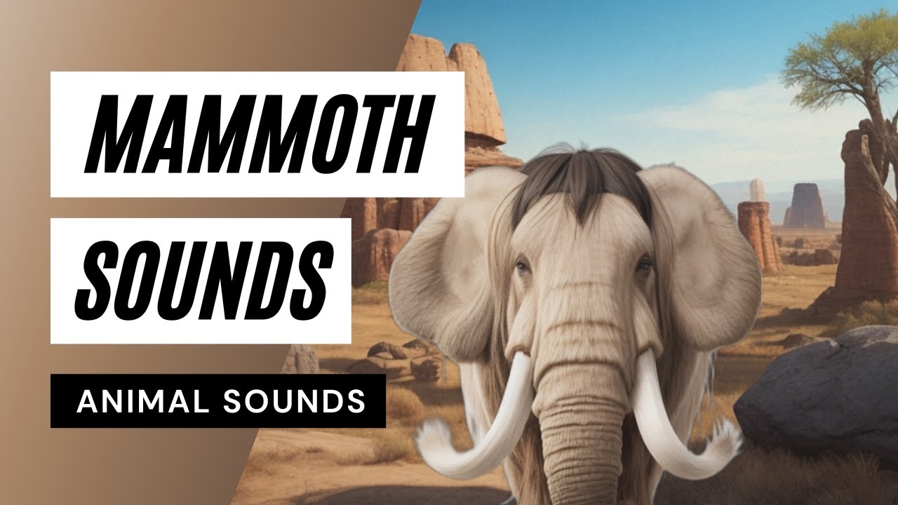 Woolly Mammoth Sounds - woolly mammoth sound effects - YouTube