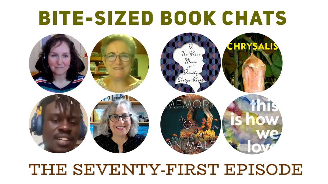 Bite-sized Book Chats: The 71st Episode - YouTube
