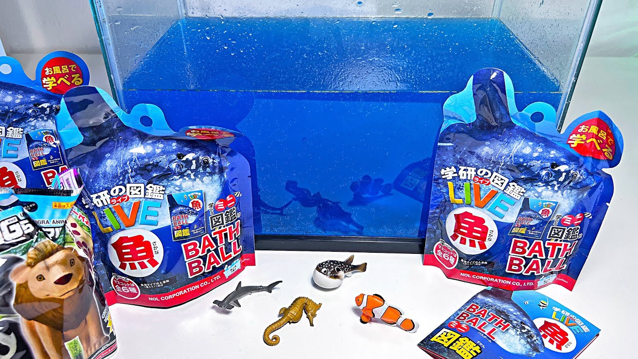 Sea Animals Bath Balls - Puffer Fish, Clownfish, Seahorse, Shark ...