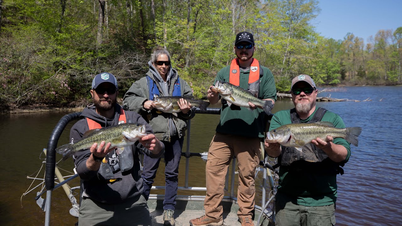 Managing Fish Populations at Fluvanna Ruritan Lake - YouTube